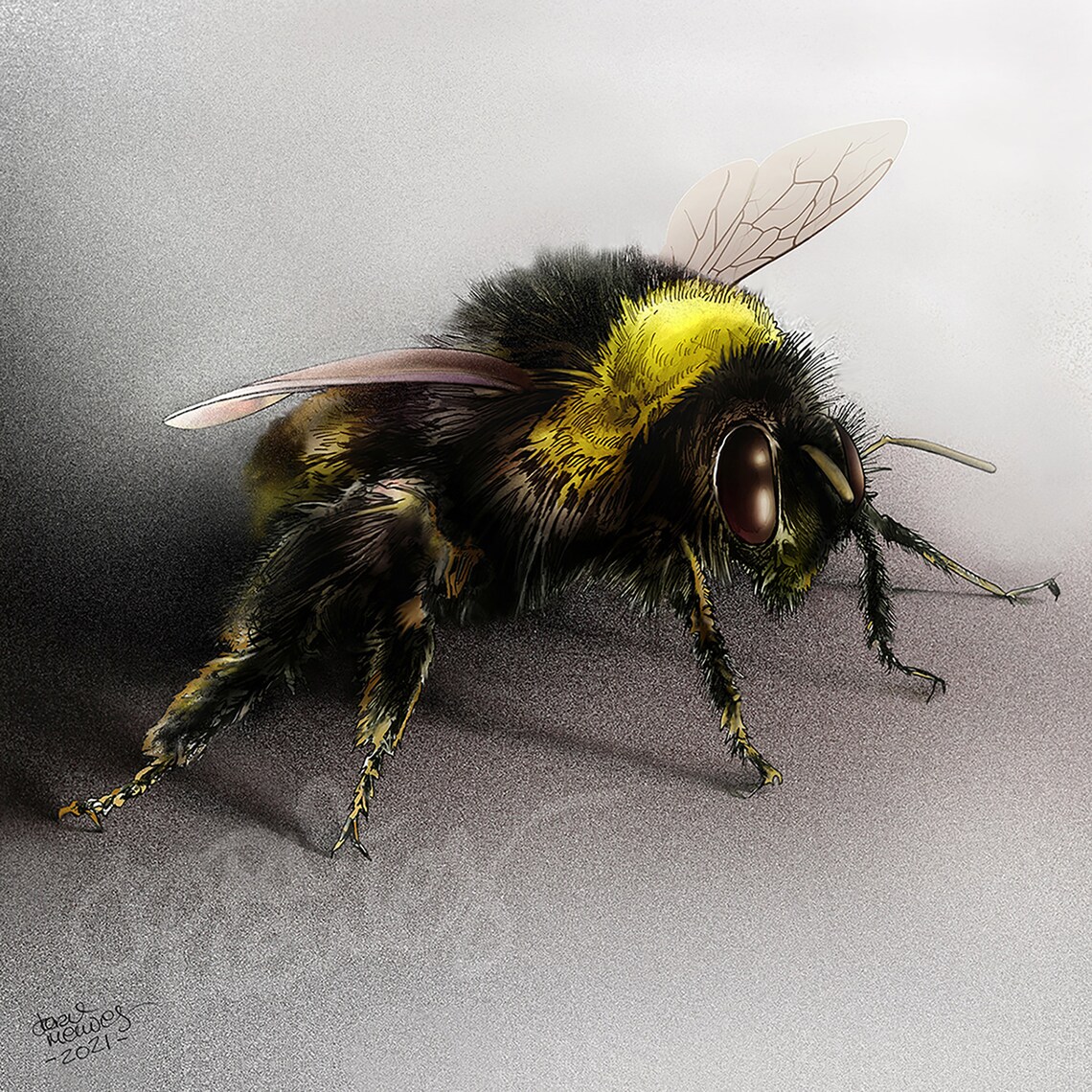 Humle, Bee, Bumblebee, Animal Art, Animals, Nature, Insect, Yellow ...
