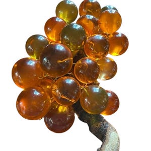 Vintage Extra Large Lucite Grapes on Driftwood, Orange - Etsy
