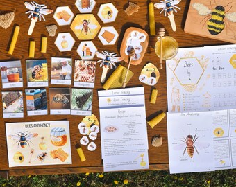 How Bees Make Honey BEE STUDY Printable - Etsy