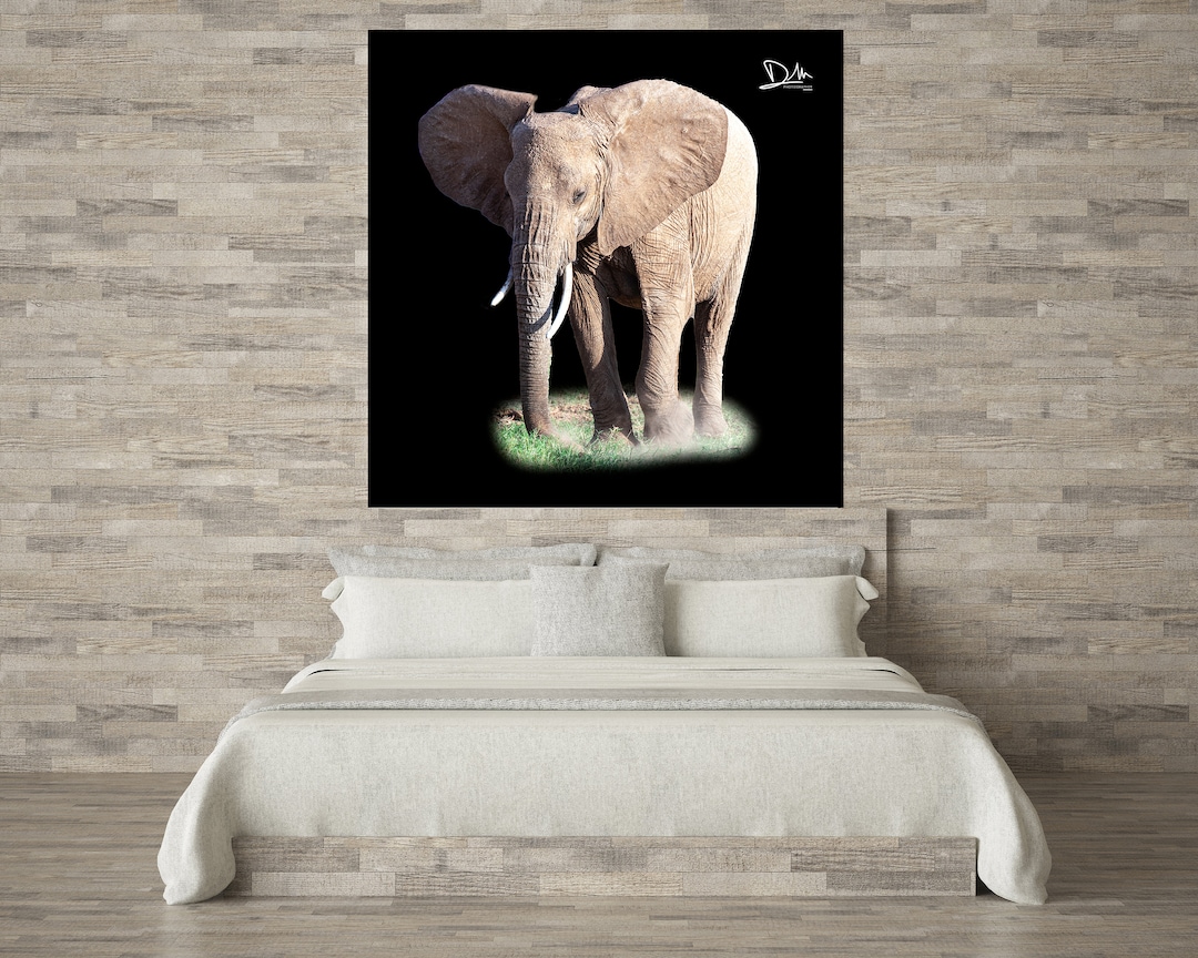Elephant Printable, Elephant Wall Art, Wall Art, Home Decor, Poster ...