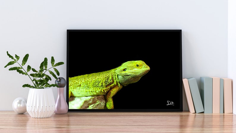 Black Background Lizard Printable Artwork Printable Poster - Etsy