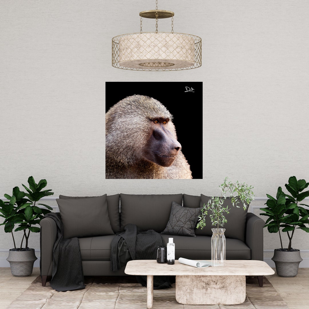 Baboon Printable, Baboon Wall Art, Wall Art, Home Decor, Poster ...