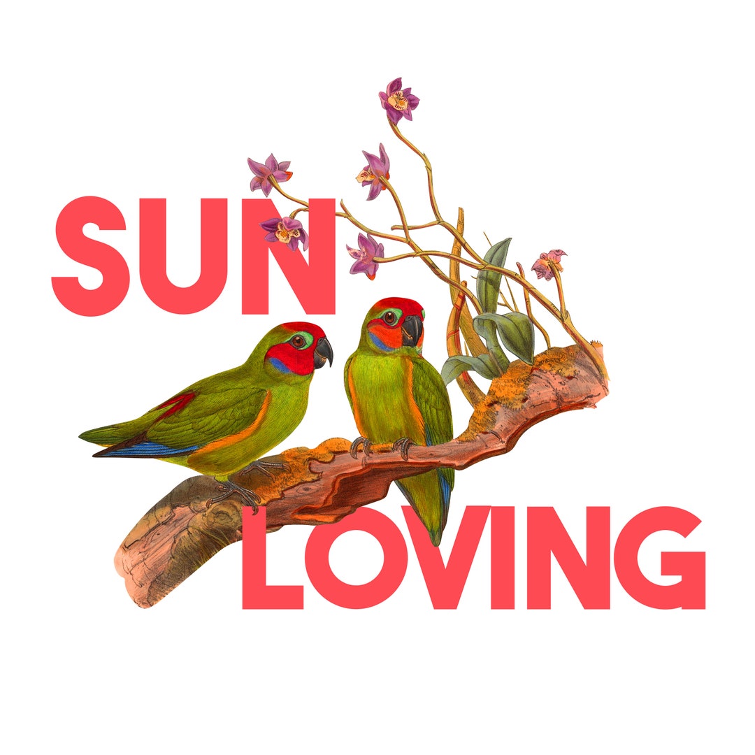 Sun Loving Printable Artwork, Digital Download - Etsy