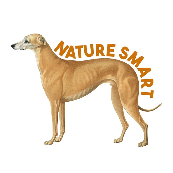 Nature Smart Printable Artwork Digital Download - Etsy