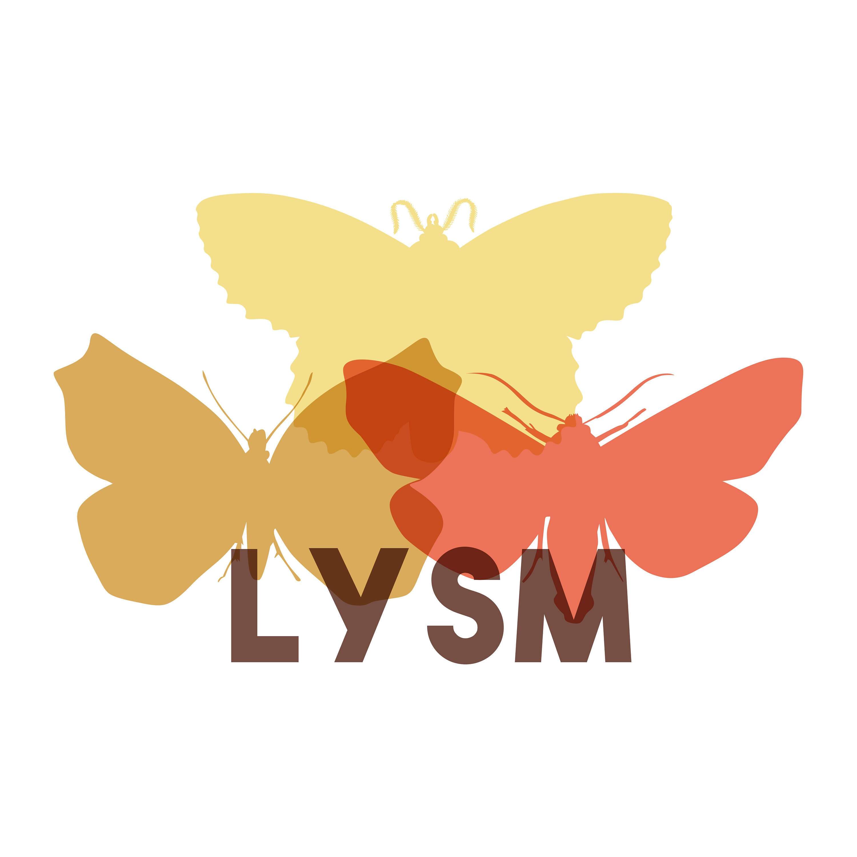 LYSM Printable Artwork, Digital Download - Etsy