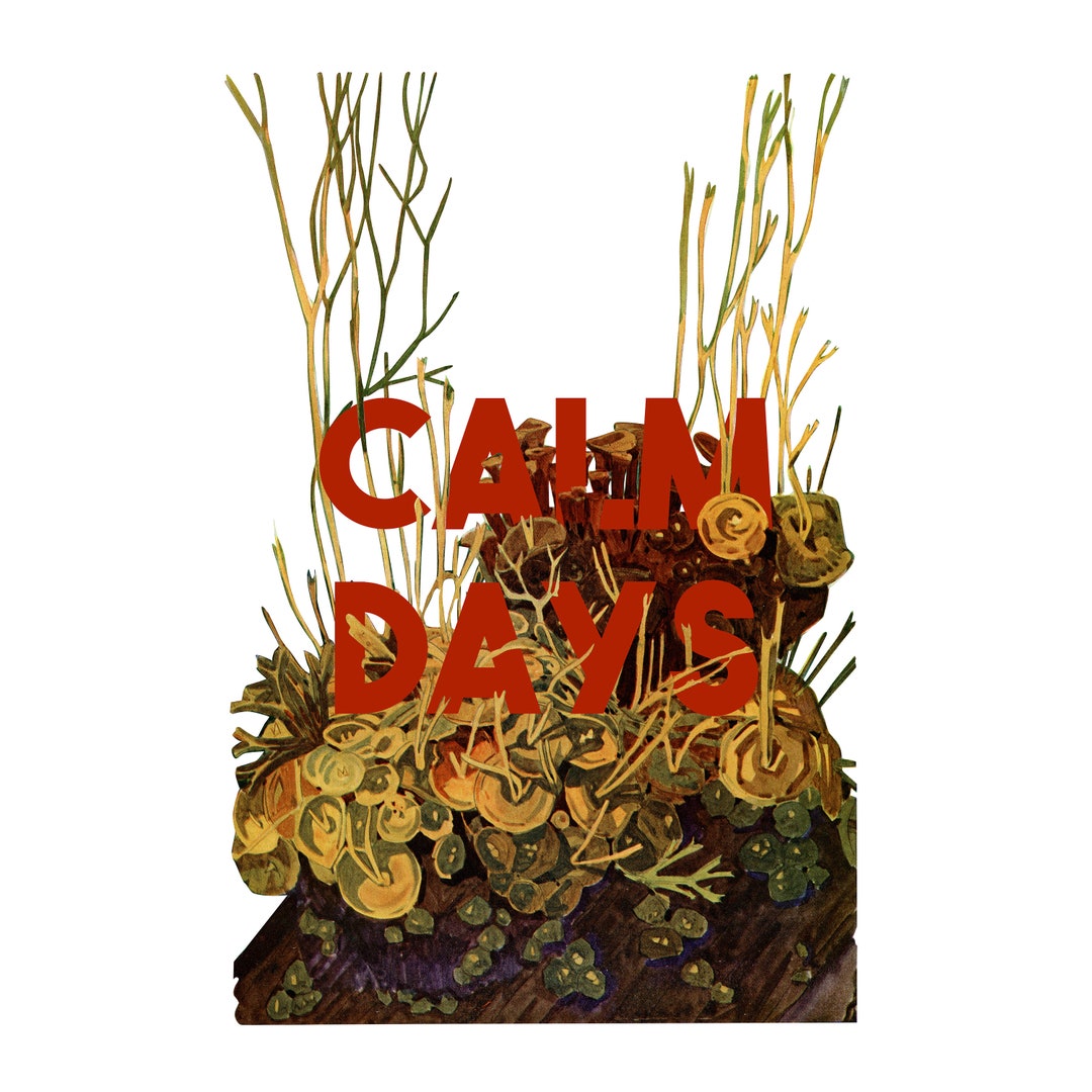 Calm Days Printable Artwork, Digital Download - Etsy