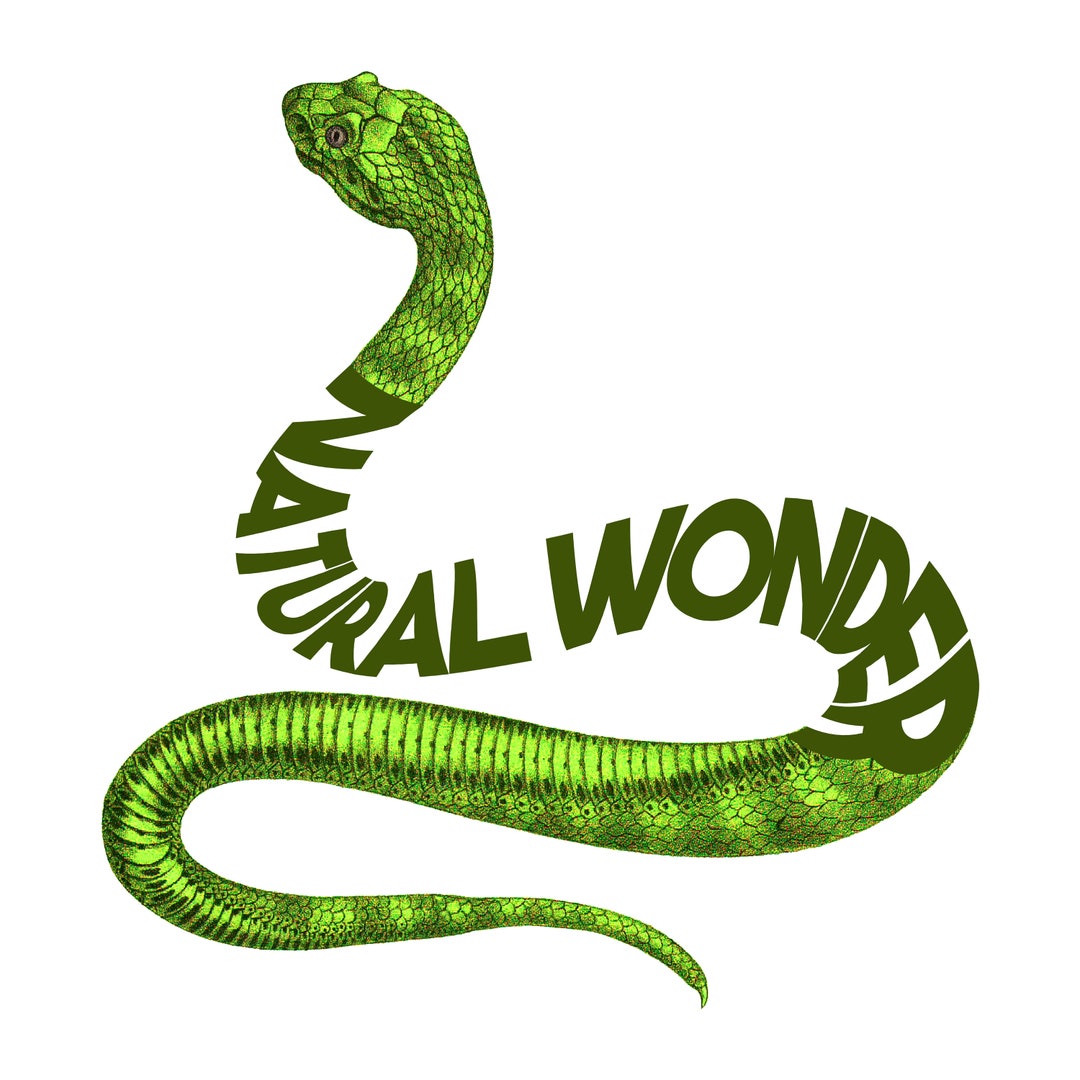 Natural Wonder 3 Printable Artwork, Digital Download - Etsy