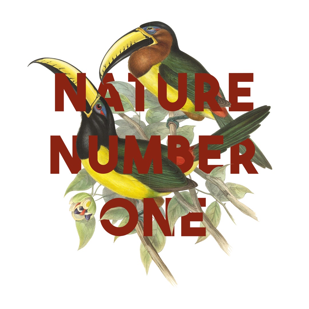 Nature Number One 4 Printable Artwork, Digital Download - Etsy