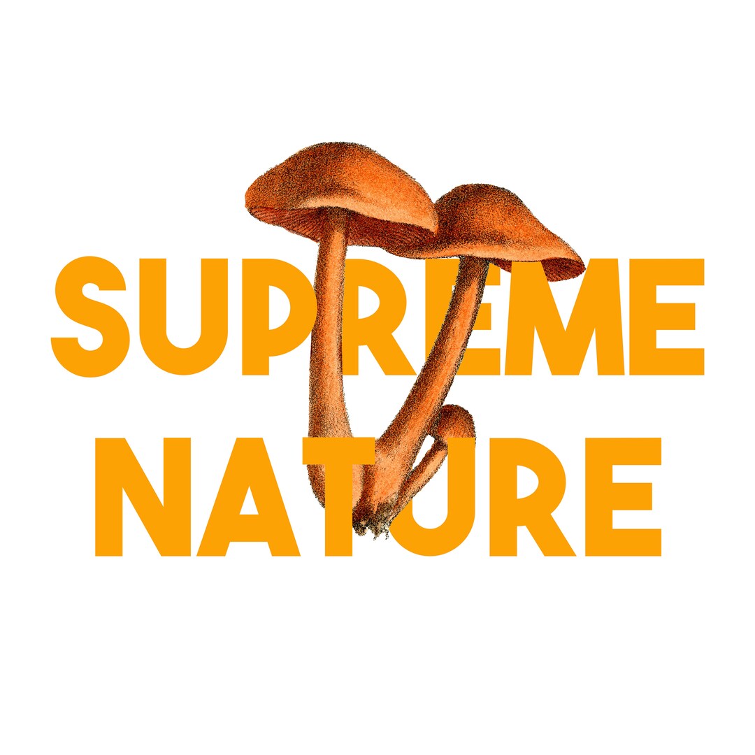 Supreme Nature 4 Printable Artwork, Digital Download - Etsy