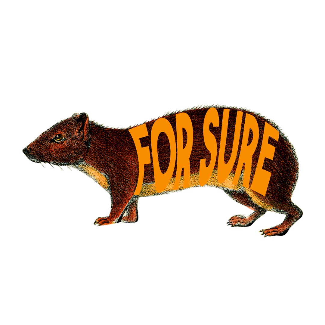 For Sure Printable Artwork, Digital Download - Etsy