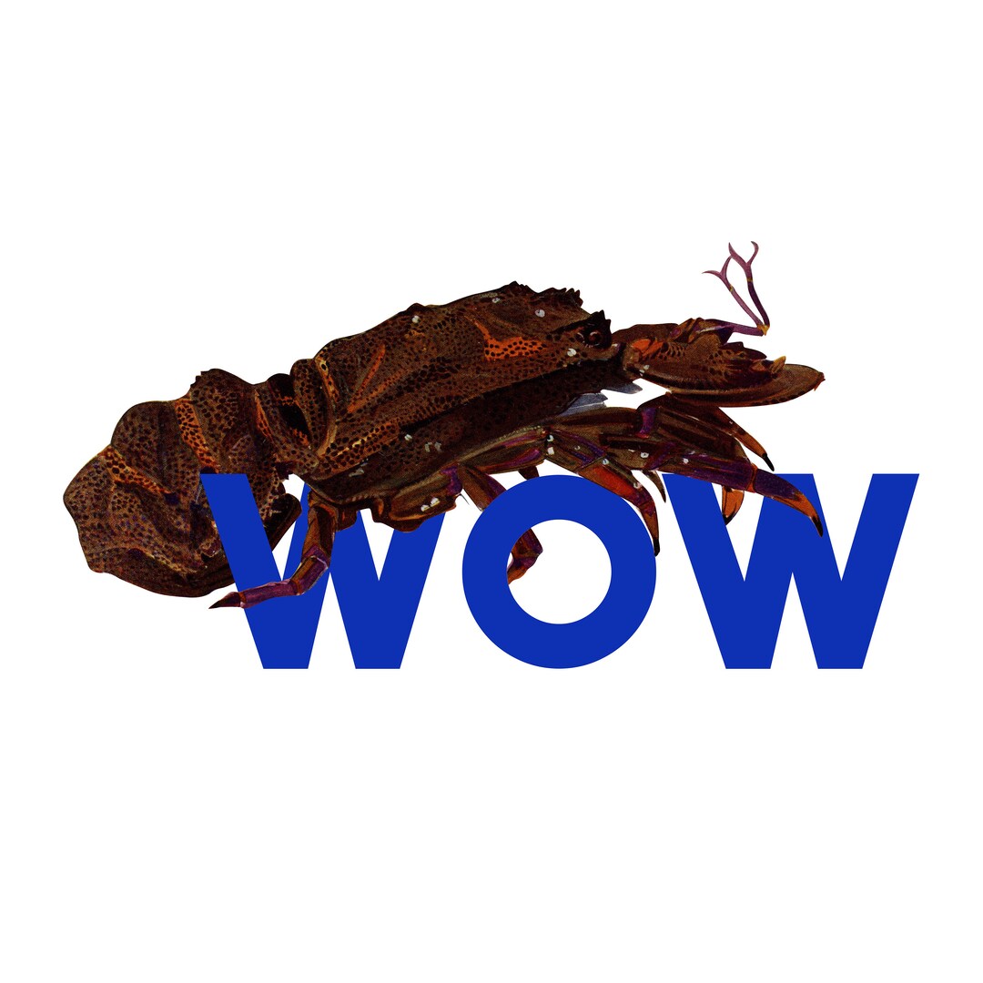 WOW Printable Artwork, Digital Download - Etsy