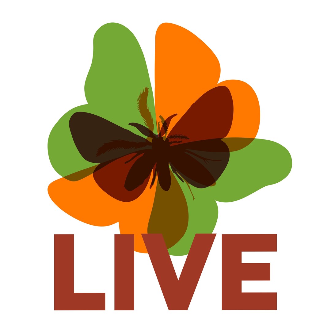 LIVE Printable Artwork, Digital Download - Etsy