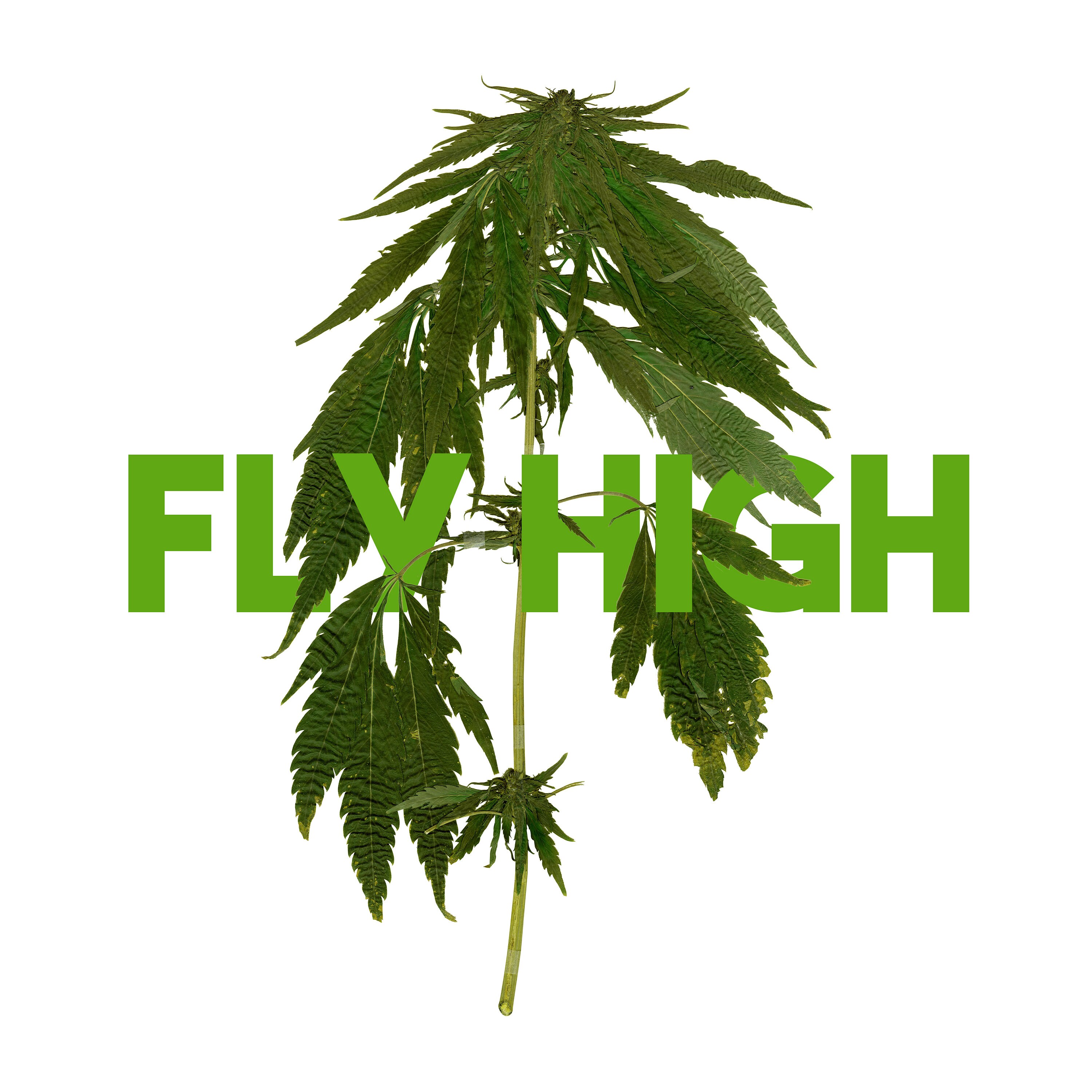 Fly High 4 Printable Artwork, Digital Download - Etsy