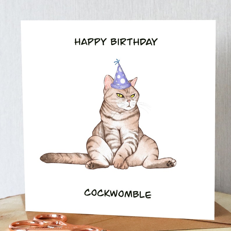 From the Cat Birthday Card. Funny, Rude, Greeting Card. Birthday. Laid ...