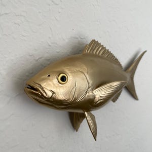 Yellowtail Snapper Mount gold, Fish Wall Art, Fish Lover Gift, Fish ...