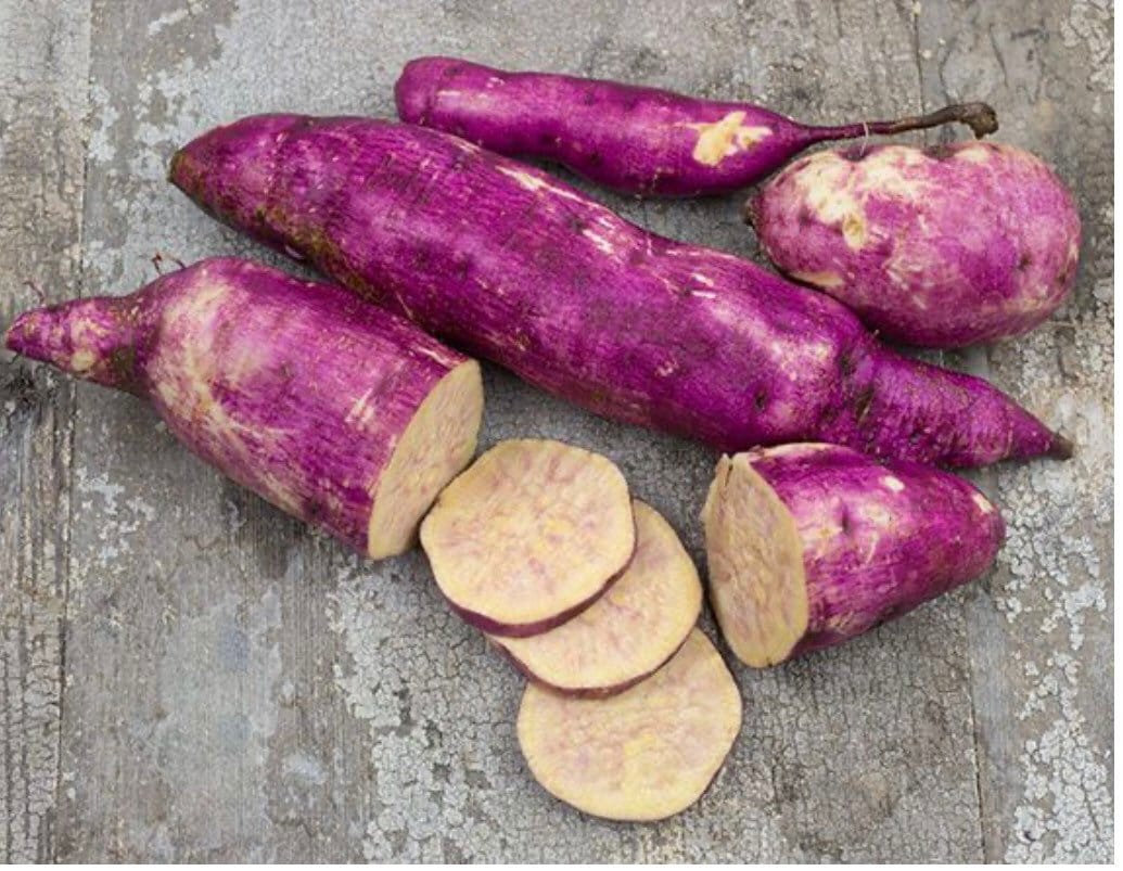 Purple Sweet Potato Myanmar Variety Starter Plants — Salty Acres
