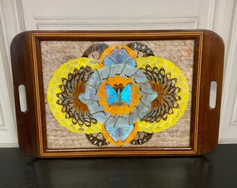 Vintage Brazilian Butterfly Wing Decorative Tray With Wooden Inlay ...