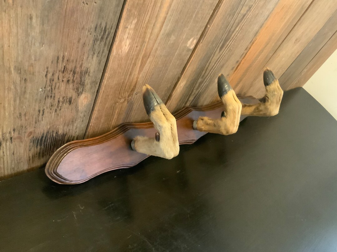 Taxidermy Hoof Rack, Hooks - Etsy