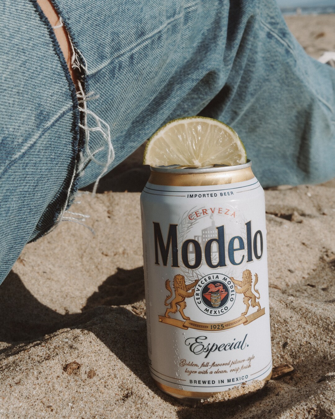 Modelo Print for Gallery Wall: Digital Print - Etsy