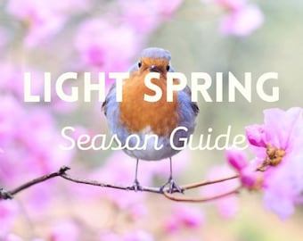 Light Spring Seasonal Guide/ Light Spring Color Guide/ E-book Color ...