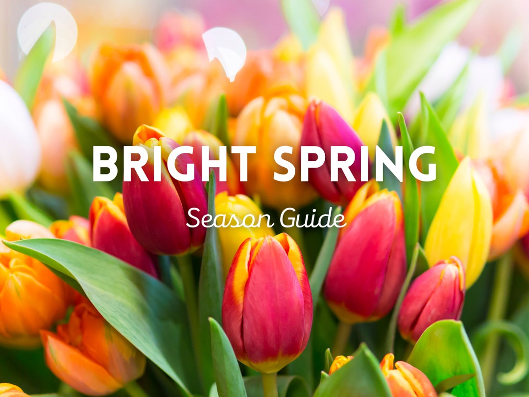 Bright Spring Season Guide - Etsy