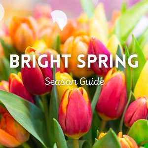 Bright Spring Season Guide - Etsy