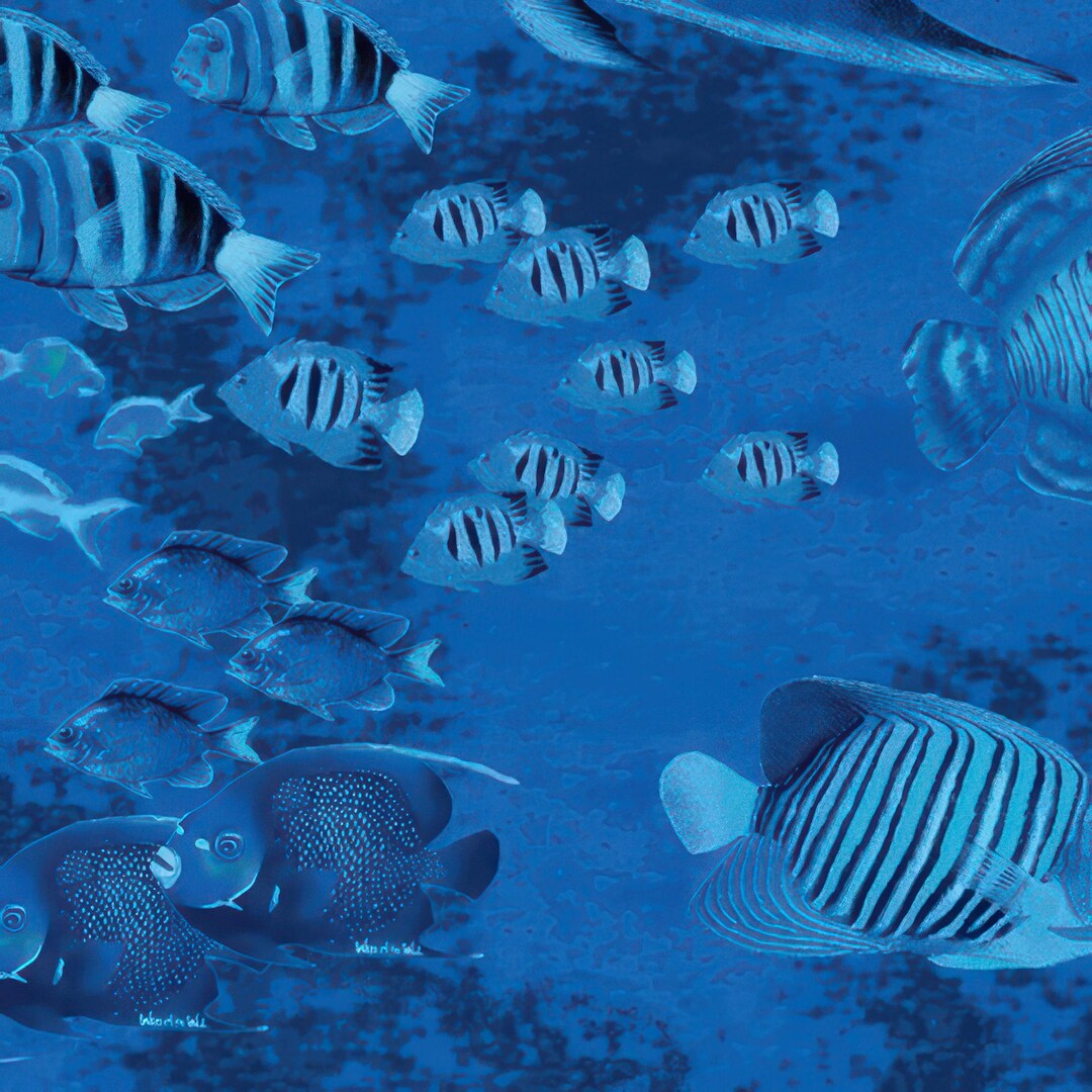 Oceana Deep Sea Cobalt Blue Fish 12539B-53 Cotton Fabric Kanvas ...
