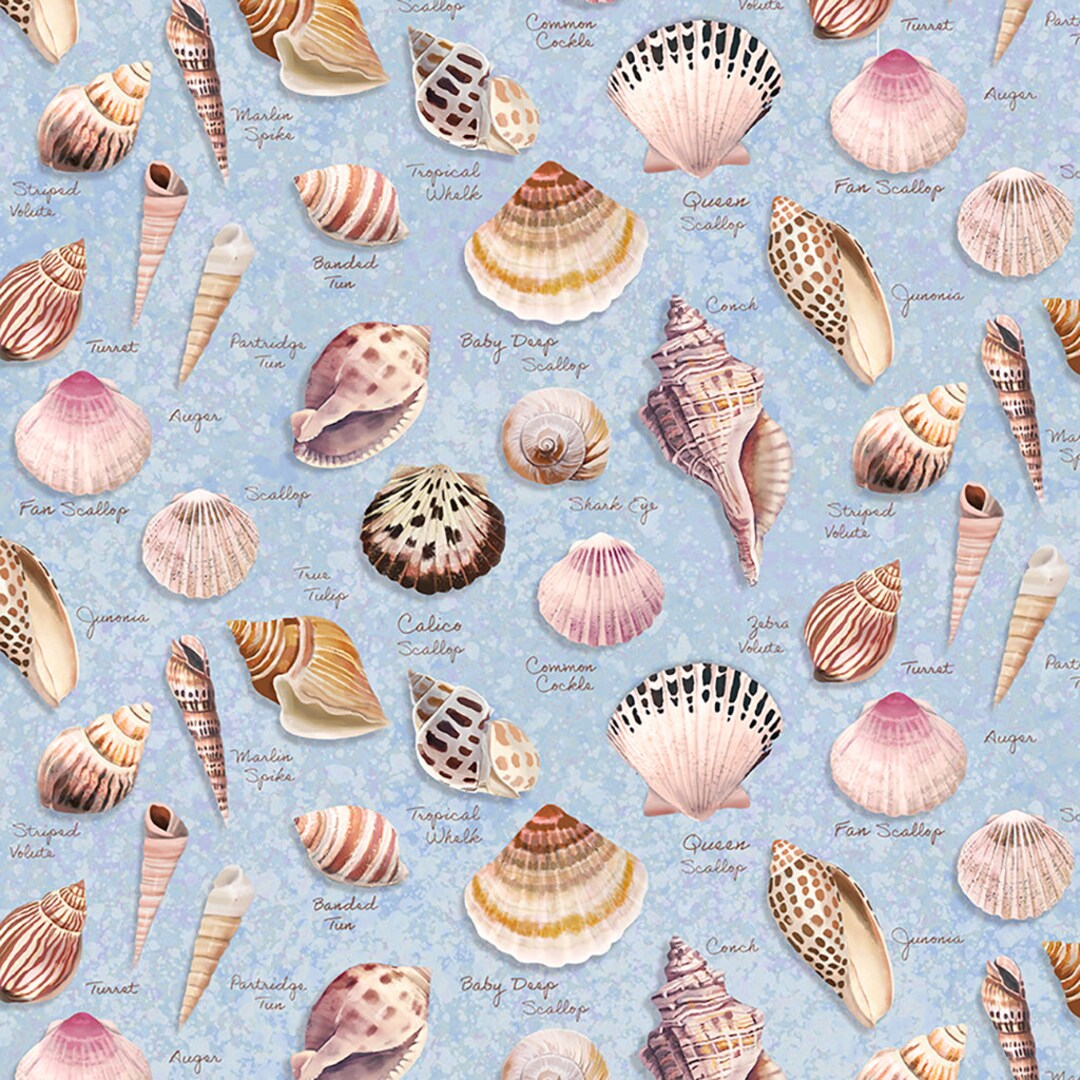 Seashell Wishes Cotton Fabric: Light Denim Shell Print - Etsy