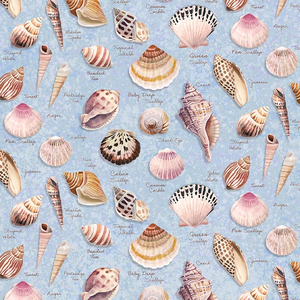 Seashell Fabric - Etsy