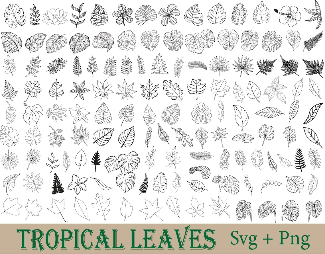 Leaves SVG, Leaves Svg Bundle, Hand Drawn Leaves SVG, Leaf Svg ...