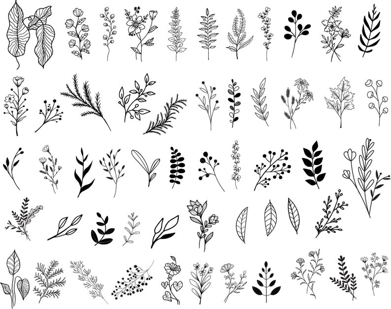 100 Botanical Svg Bundle | Floral Svg |flower Svg |botanical Clipart ...