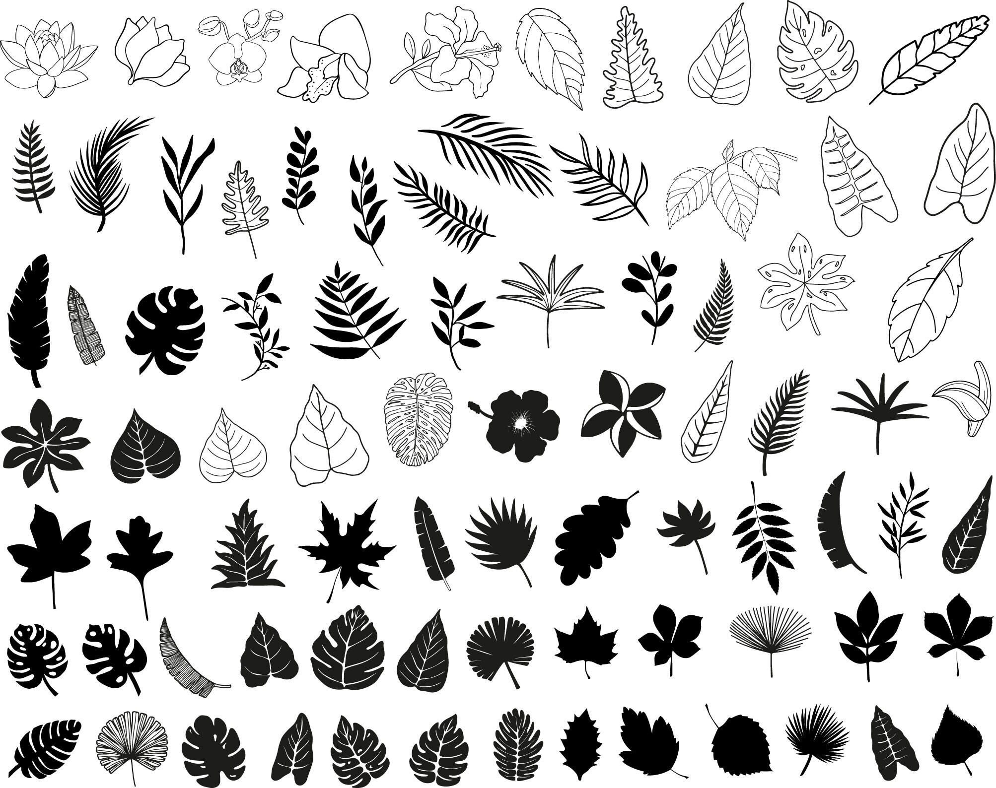 Leaves SVG, Leaves Svg Bundle, Hand Drawn Leaves SVG, Leaf Svg ...