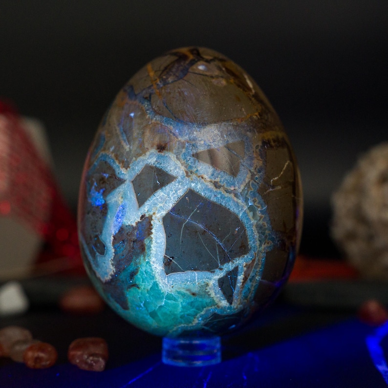 Natural Septarian Crystal Egg UV Reactive Stone Spiritual Healing ...