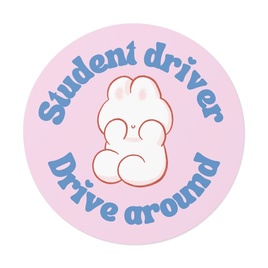 Cute Car Accessories, Cute Car Sticker, Cute Car Decor, New Driver ...
