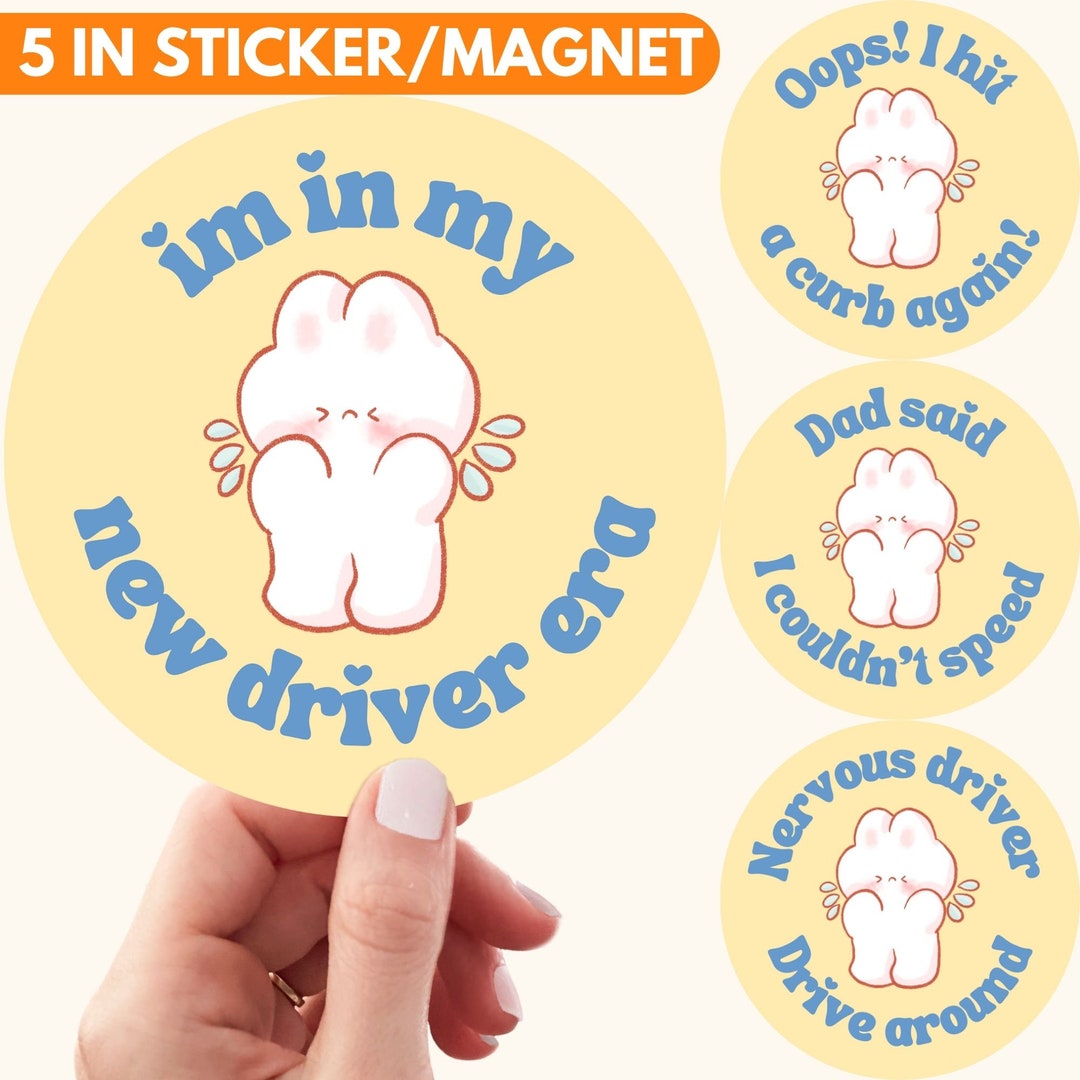 Cute Car Accessory,cute Car Magnet,cute Car Decor,new Driver Gift ...