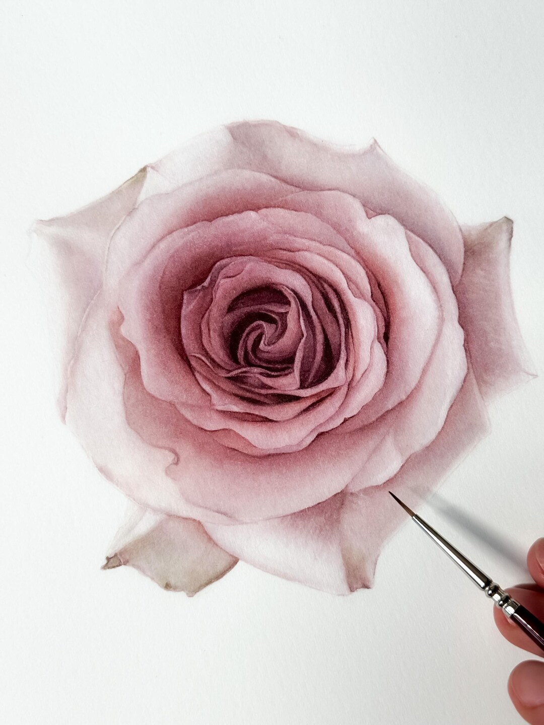 Rose Flower Watercolor Tutorial in English: Step-by-step Video Class ...