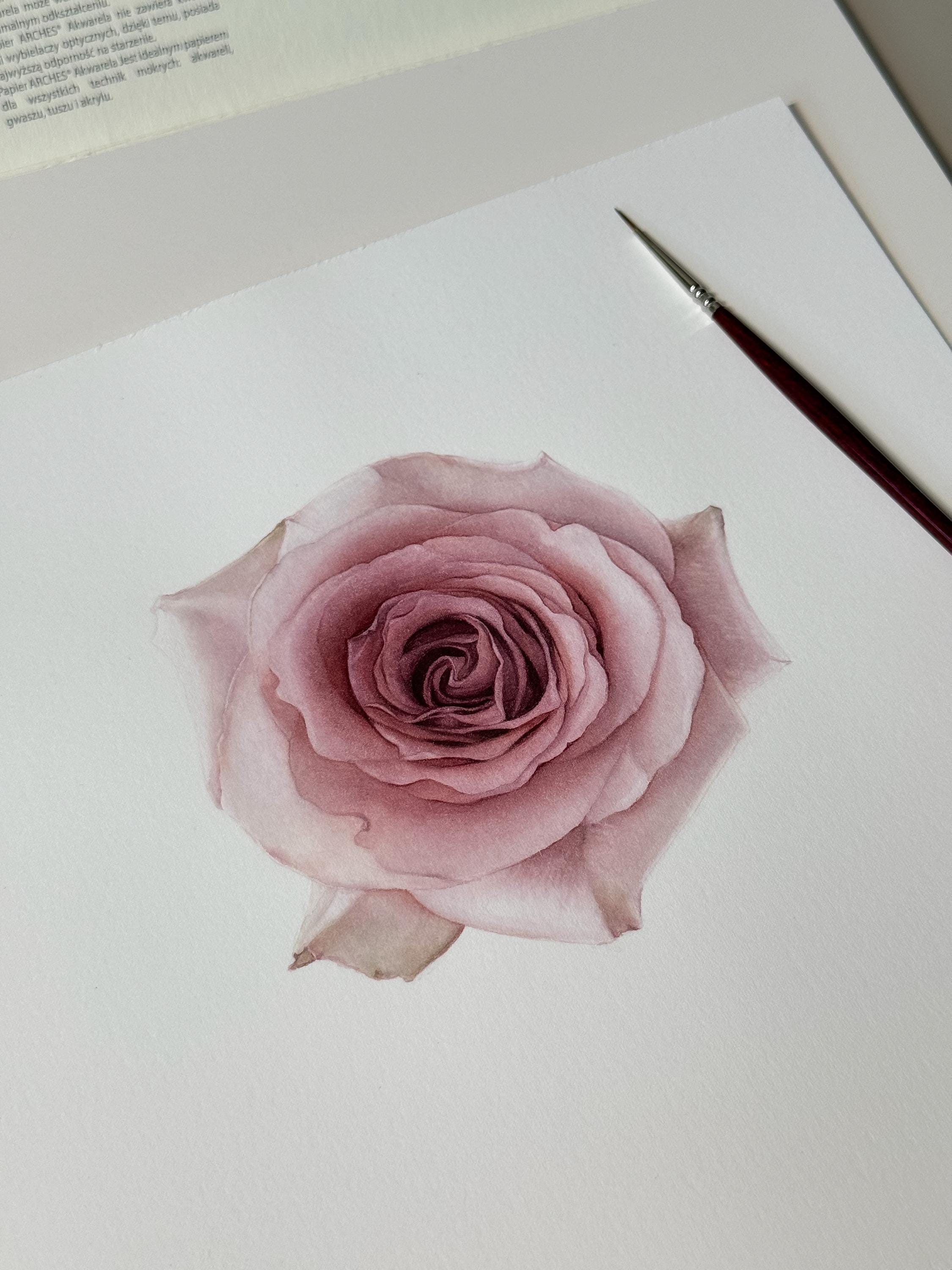 Rose Flower Watercolor Tutorial in English: Step-by-step Video Class ...