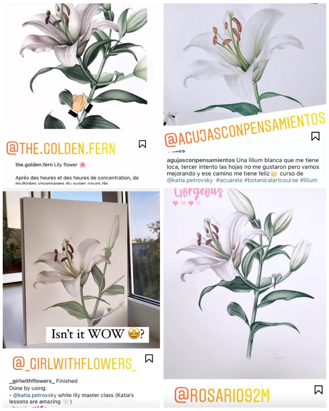 Learn to Paint a Lily: Advanced yet Beginner Friendly Watercolor ...