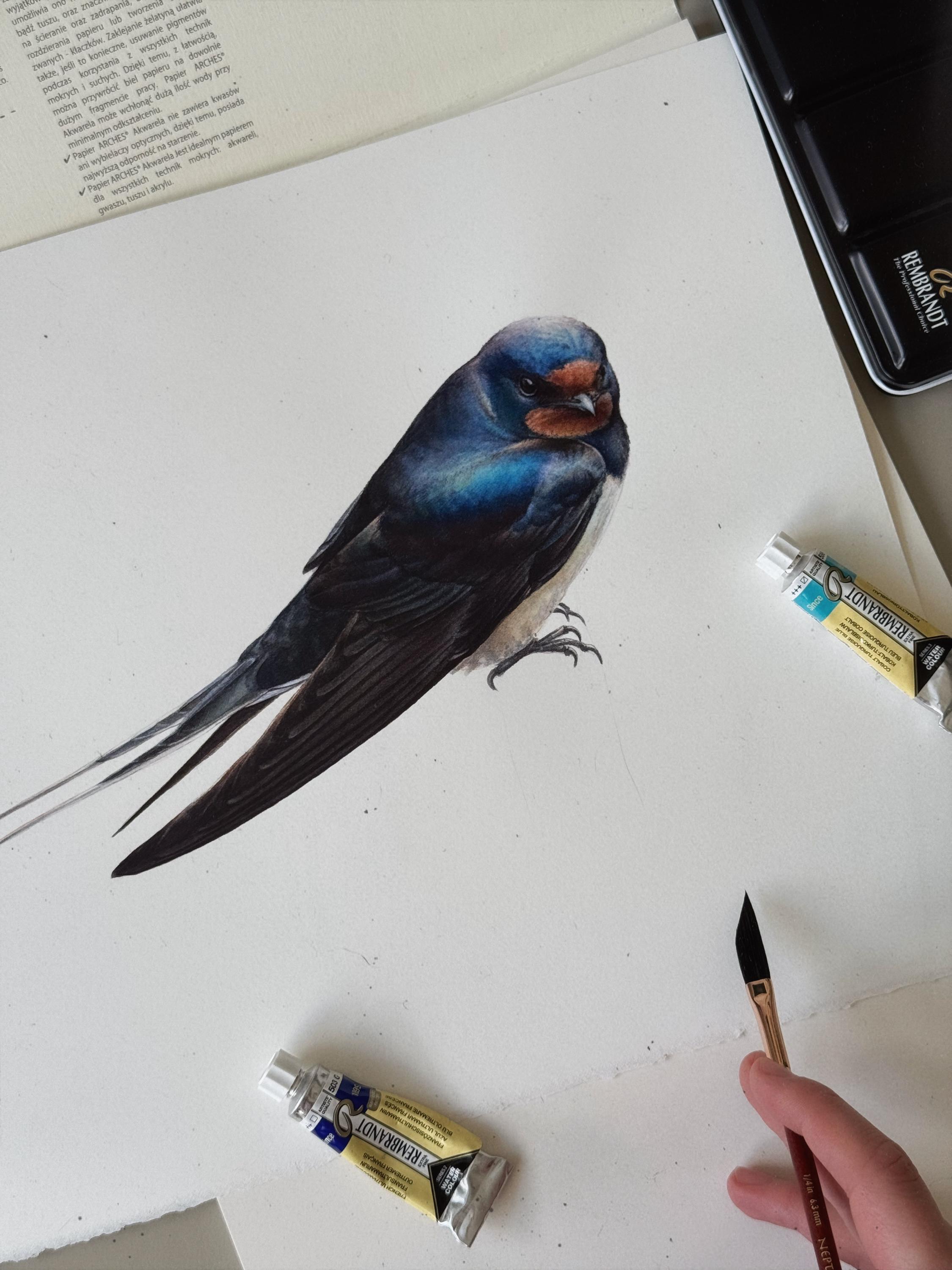 Swallow Watercolor Tutorial in EN: Paint a Bird Step by Step | Online ...