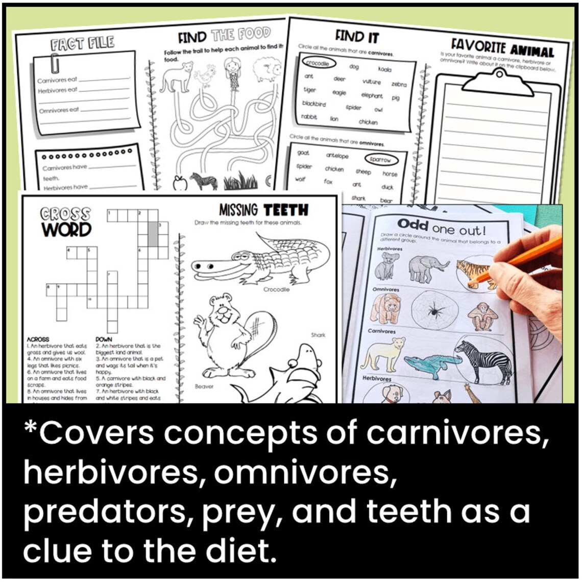 Animal Diets Carnivores, Omnivores, Herbivores Fun Activity Booklet ...