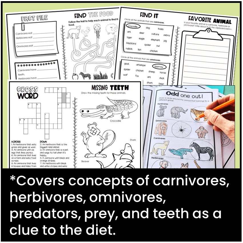 Animal Diets Carnivores, Omnivores, Herbivores Fun Activity Booklet ...
