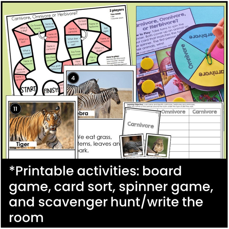 Animal Diets Carnivores, Herbivores, Omnivores Fun Games, Activities ...