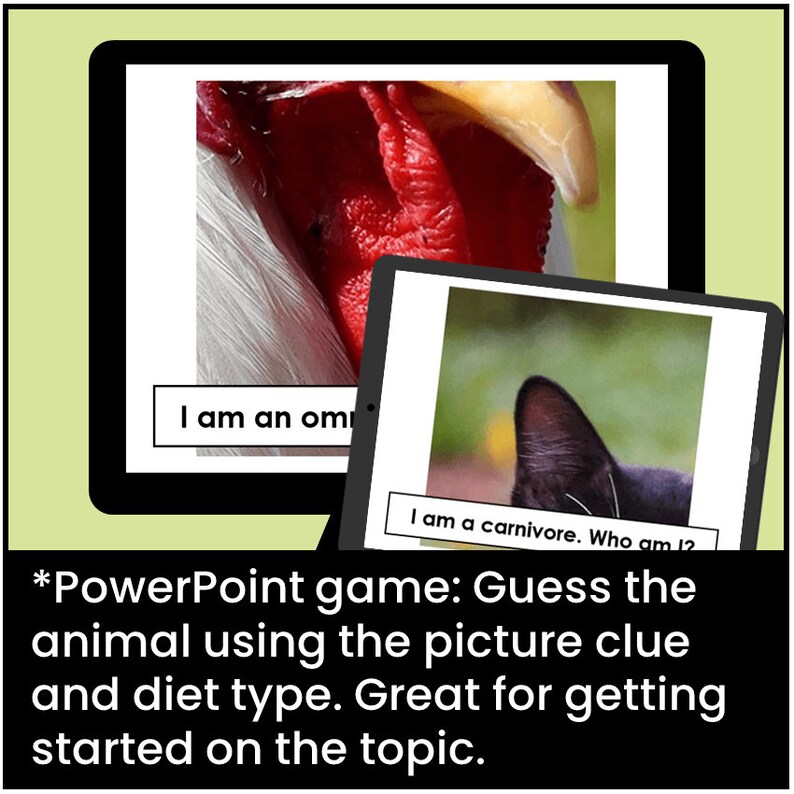 Animal Diets Carnivores, Herbivores, Omnivores Fun Games, Activities ...