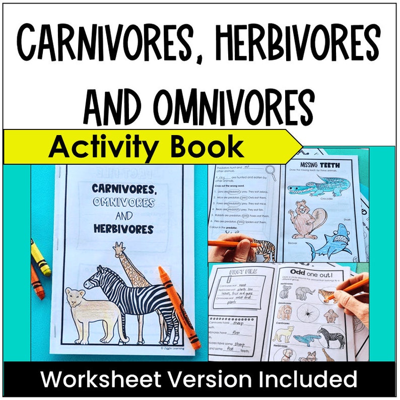 Animal Diets Carnivores, Omnivores, Herbivores Fun Activity Booklet ...