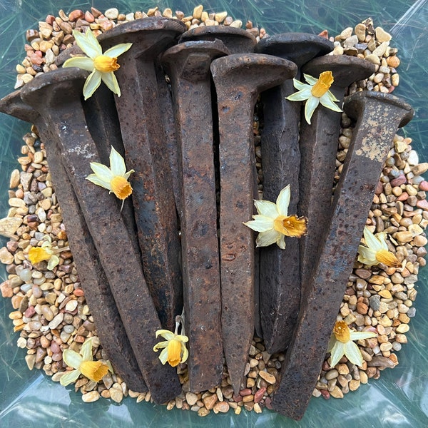 Rusty Railroad Spike - Etsy