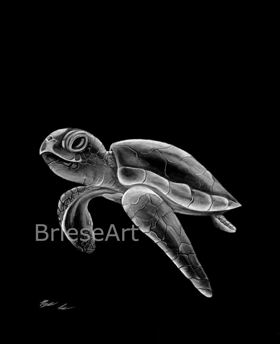 Charcoal Turtle (instant Download) - Etsy