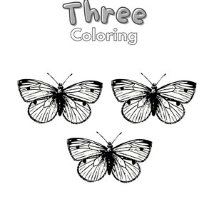 Counting Butterflies 1 -10 Coloring Pages - Etsy