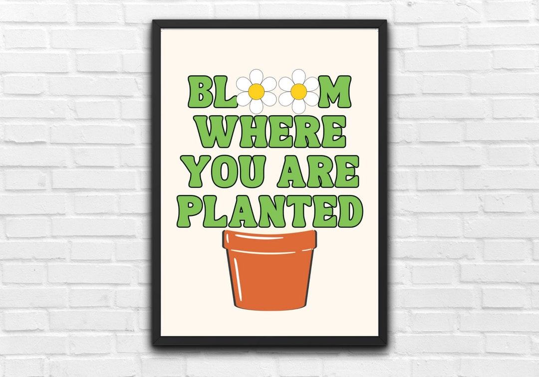 Bloom Where You Are Planted, Classroom Poster, Motivational Poster ...