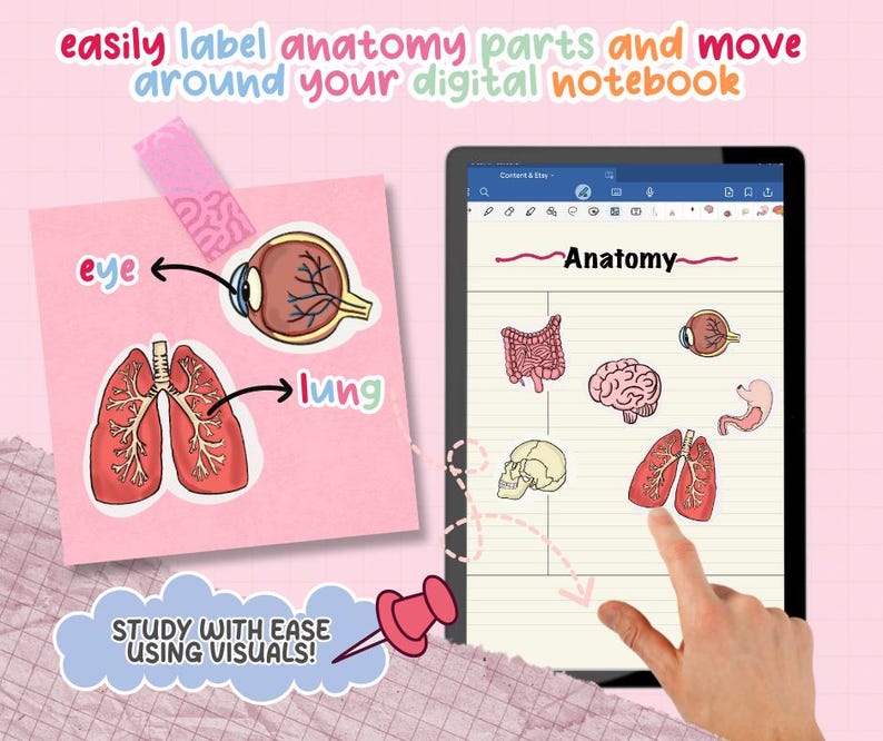 15 Digital Anatomy Stickers | Human Biology Stickers | Human Anatomy ...