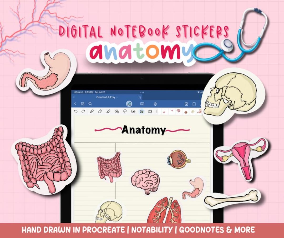 15 Digital Anatomy Stickers | Human Biology Stickers | Human Anatomy ...